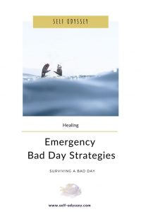 Emergency Bad Day Strategies - Self Odyssey
